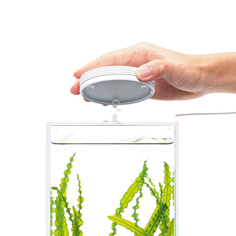 DOOA Neo Glass AIR - Easy Scape - Terrarium