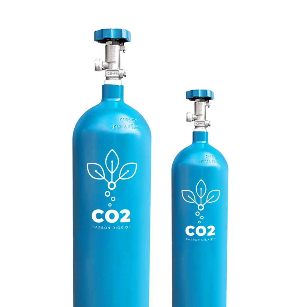 Strideways CO2 regulator PLUS - Easy Scape